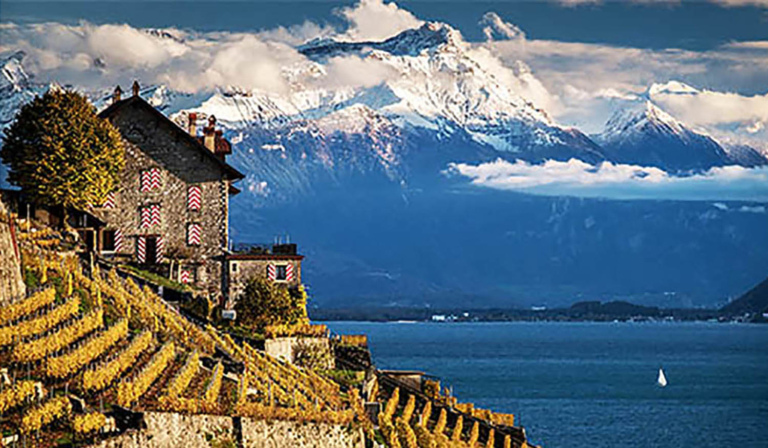 Balade , le vignoble de Lavaux : une explosion des couleurs de l ...