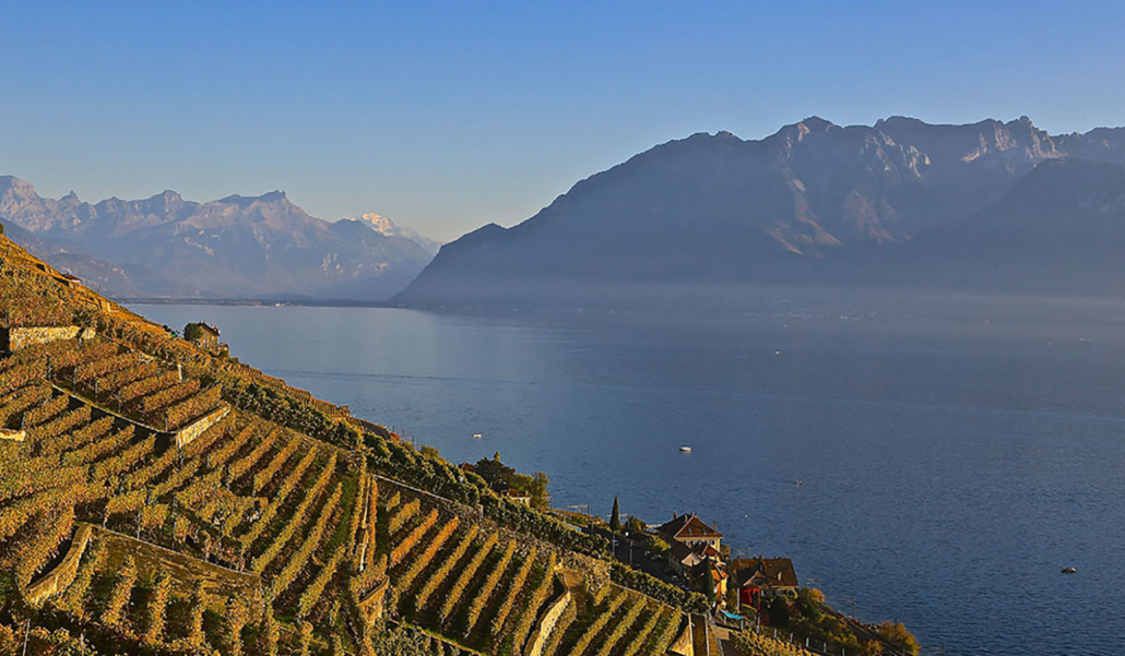 Balade , le vignoble de Lavaux : une explosion des couleurs de l ...