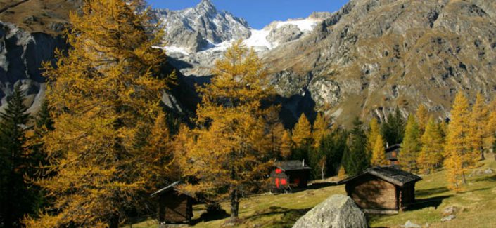 Randonnée sur le sentier des bouquetins dans le Val Ferret