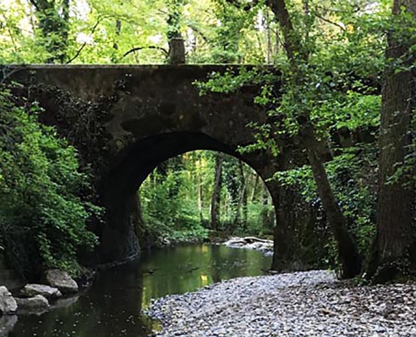 Balade : Au fil de l'Hermance la nature prend sa source - Bythelake FR