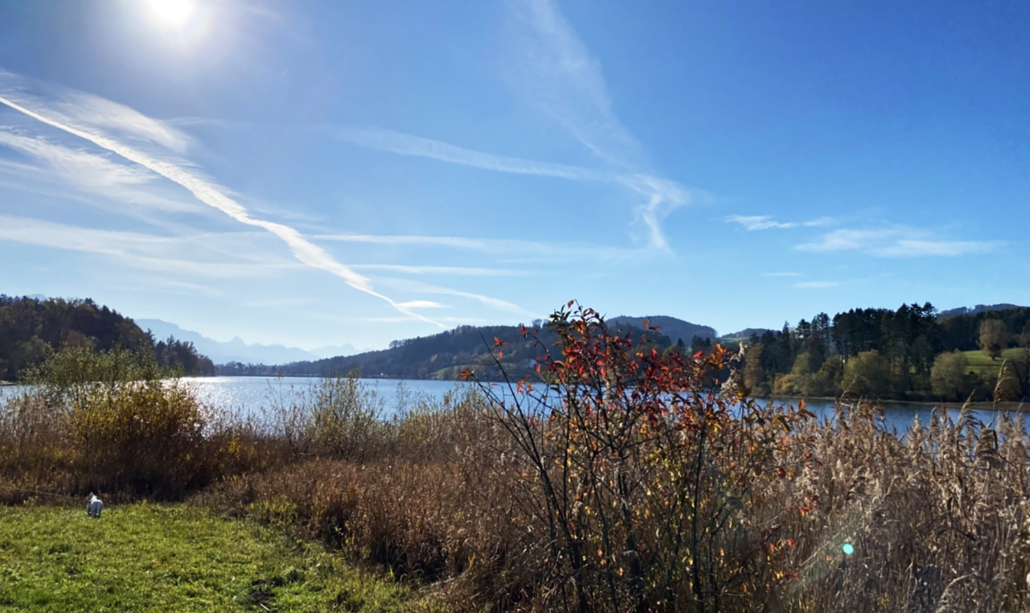 Balade autour du petit lac de Bret , réservoir de la ville de Lausanne ...